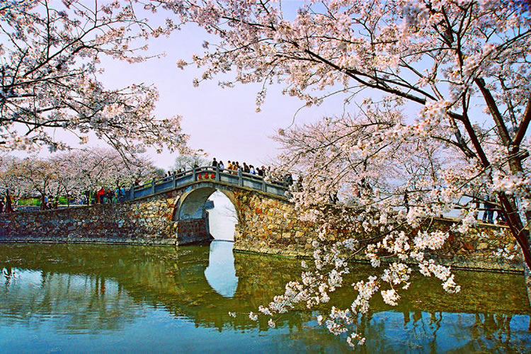 Wuxi Tour from Suzhou | Wuxi Tours from Shanghai | Wuxi China Tour Guide