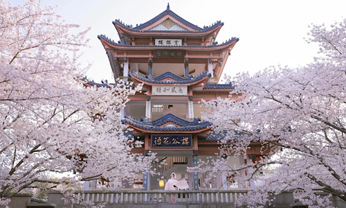 3-Day Wuxi Tours Featuring Gardens, Towns & Buddhist Sites